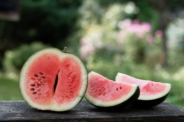 Slik dyrker du Vannmelon uten drivhus - Smakelig.com